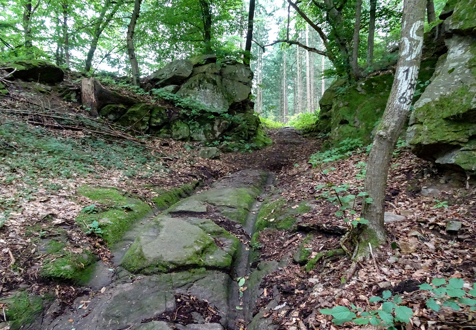 Roman Trails - On the Trail of the Romans in the Weinviertel Region and ...